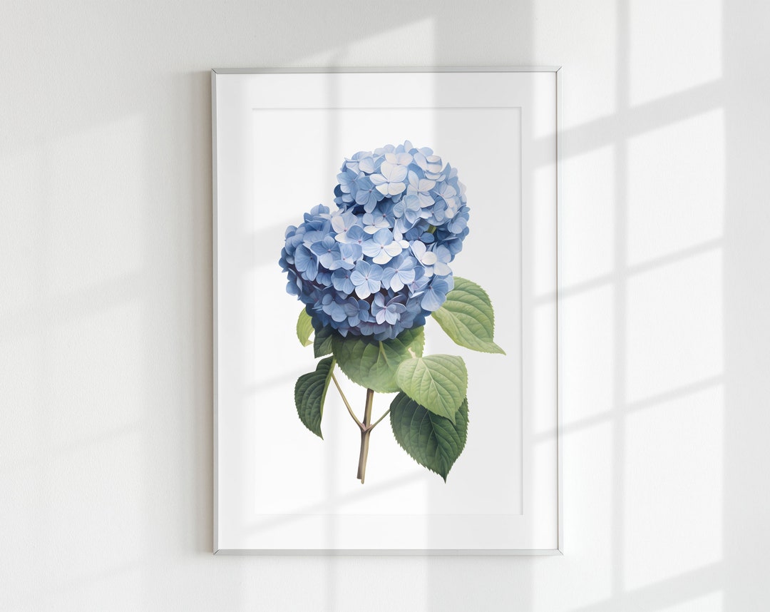 Hydrangea Print, Floral Print, Flower Print, Botanical Flower ...