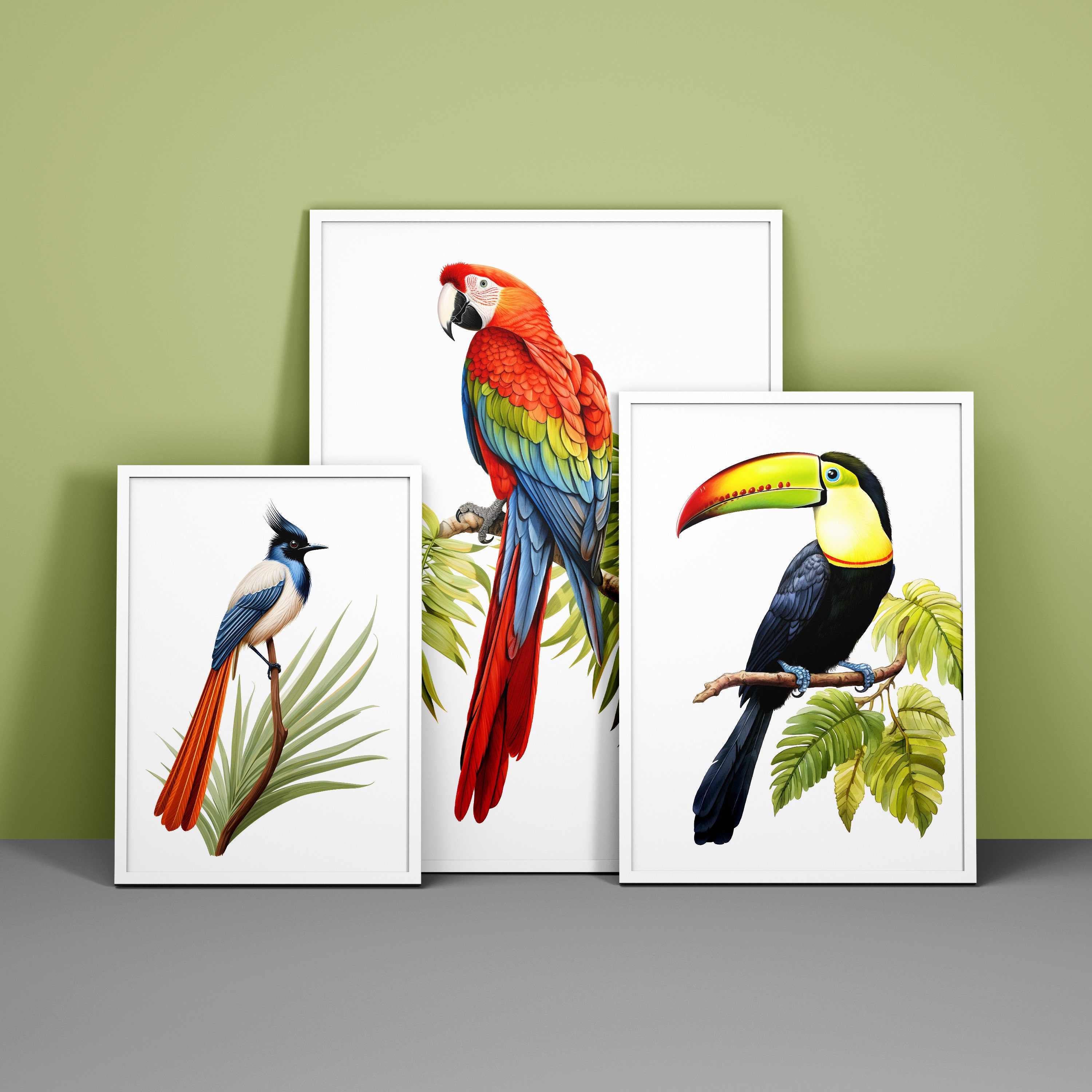 Tropical Birds Print Bundle, Bird Prints, Set of 6, Botanical Guide ...