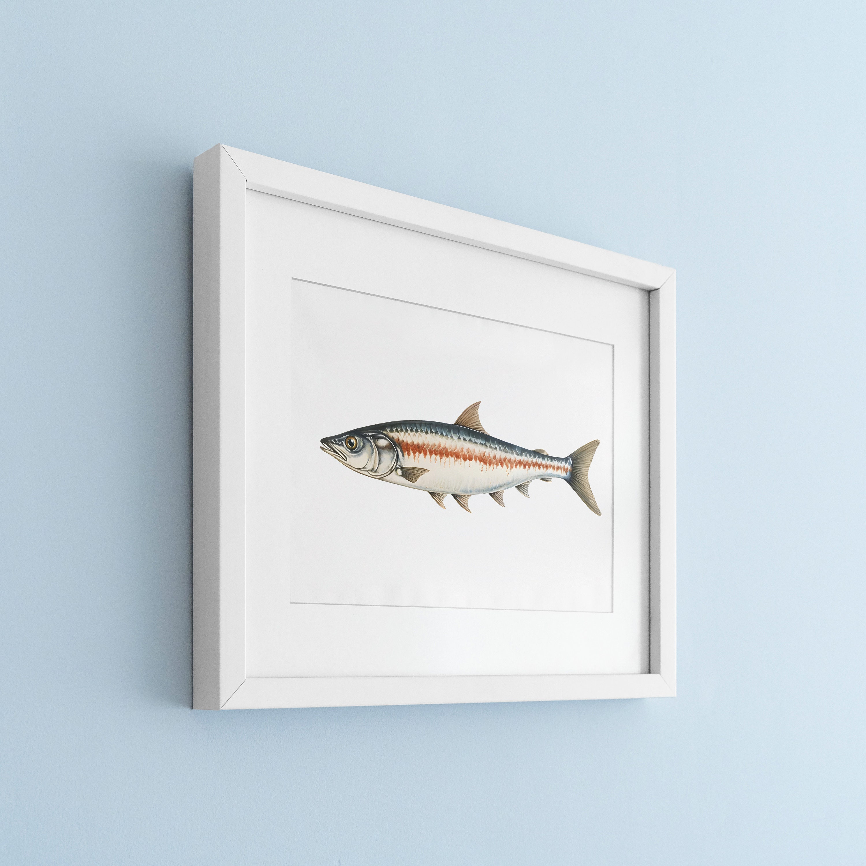 Mackerel Print, Fish Print, Mackerel, Wall Art, Wall Print, Fish Poster ...