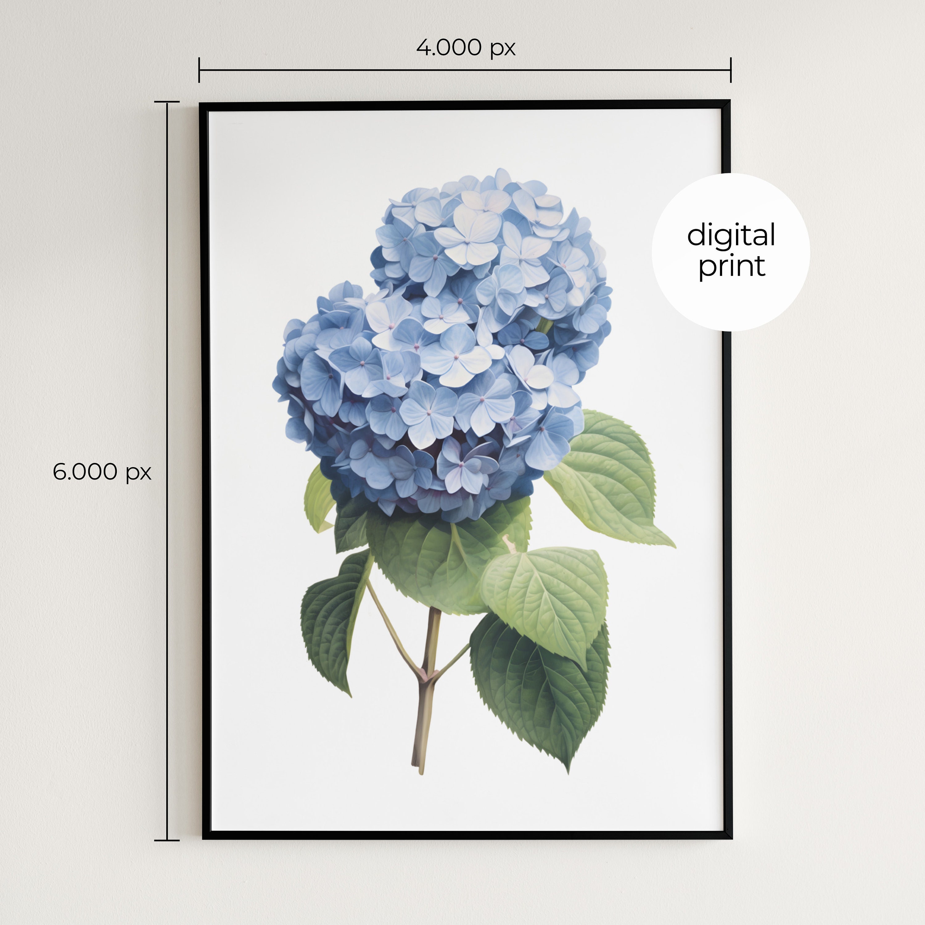 Hydrangea Print, Floral Print, Flower Print, Botanical Flower ...