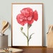 Carnation Print, Floral Print, Flower Print, Botanical Print, Carnation ...