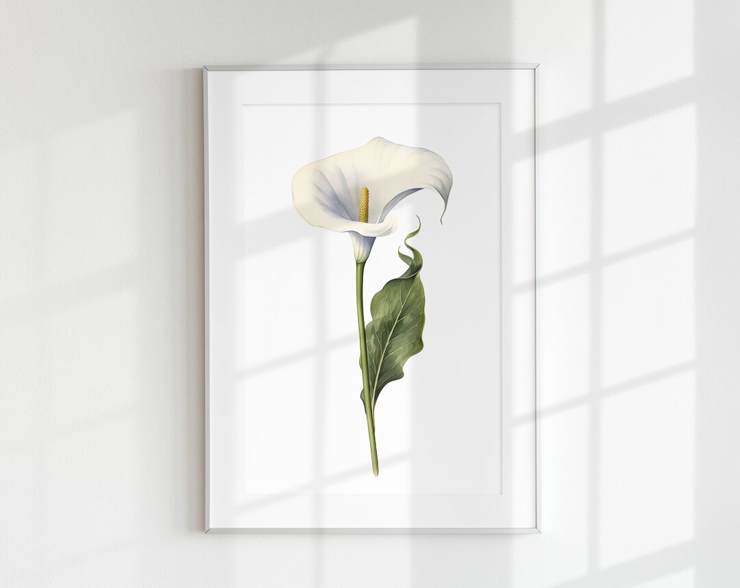 Calla Lily Print, Floral Print, Flower Print, Botanical Flower, Calla ...
