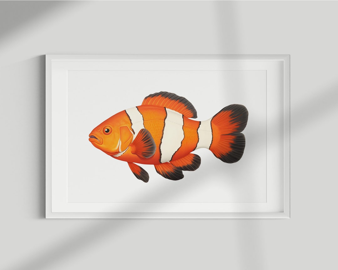 Clownfish Print, Fish Print, Clownfish, Wall Art, Wall Print, Fish ...