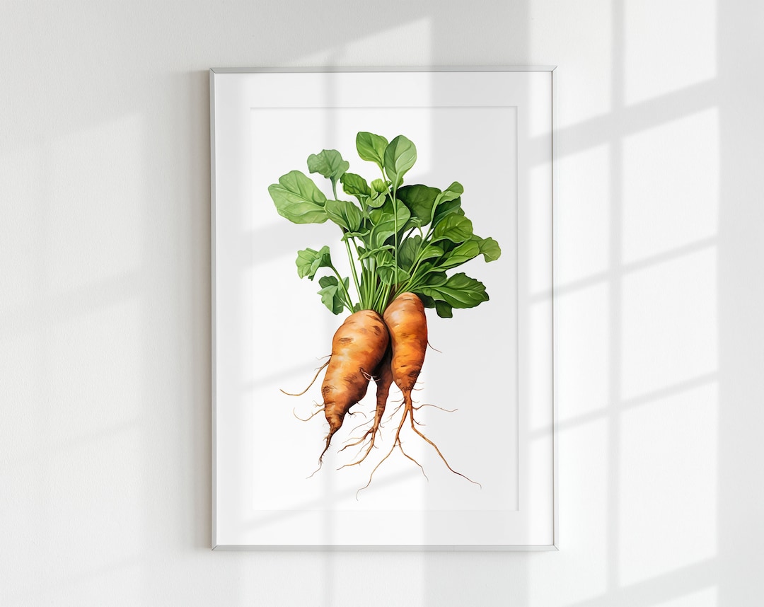 Sweet Potato Print Vegetable Food Poster Healthy Wall Art Decoration ...