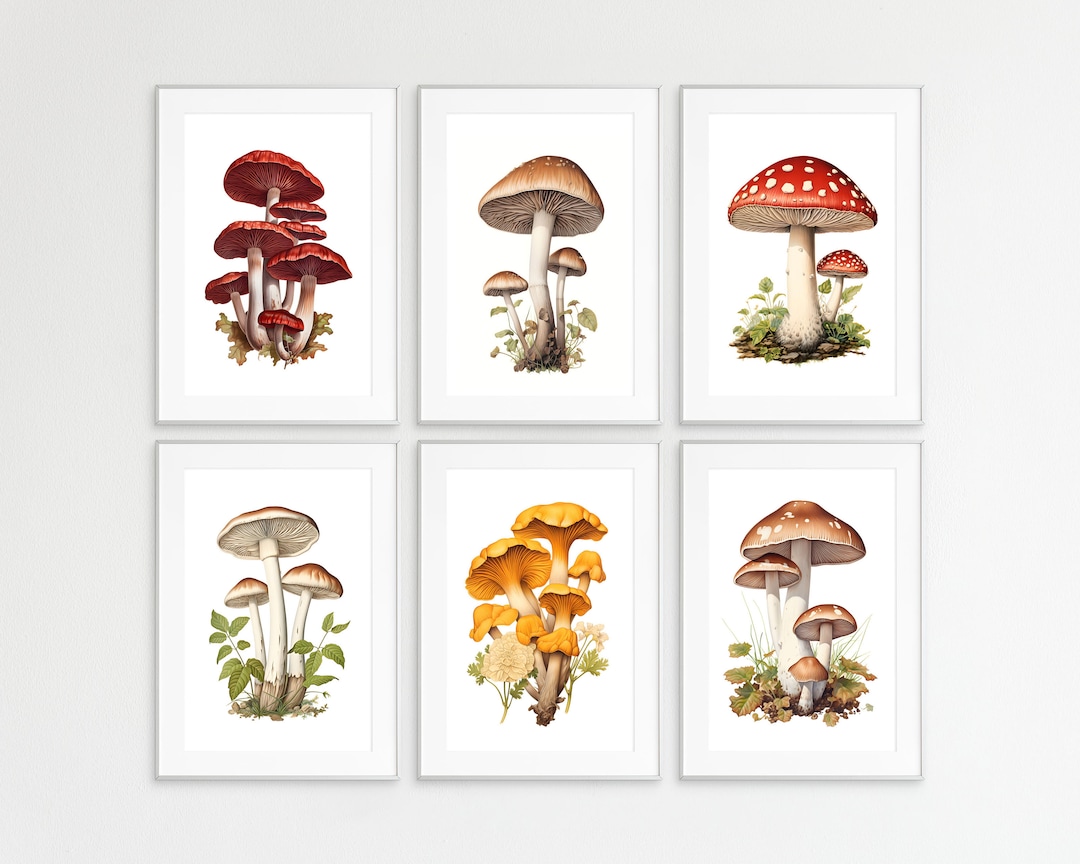 Mushroom Print Bundle, Mushroom Prints, Set of 6, Botanical Guide, Wall ...