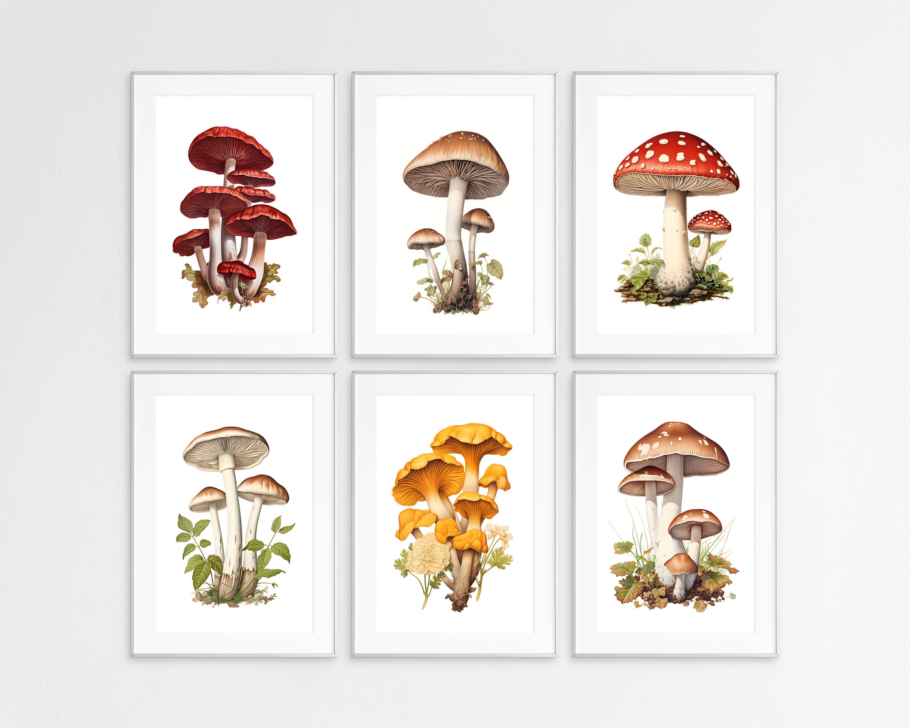 Mushroom Print Bundle, Mushroom Prints, Set of 6, Botanical Guide, Wall ...
