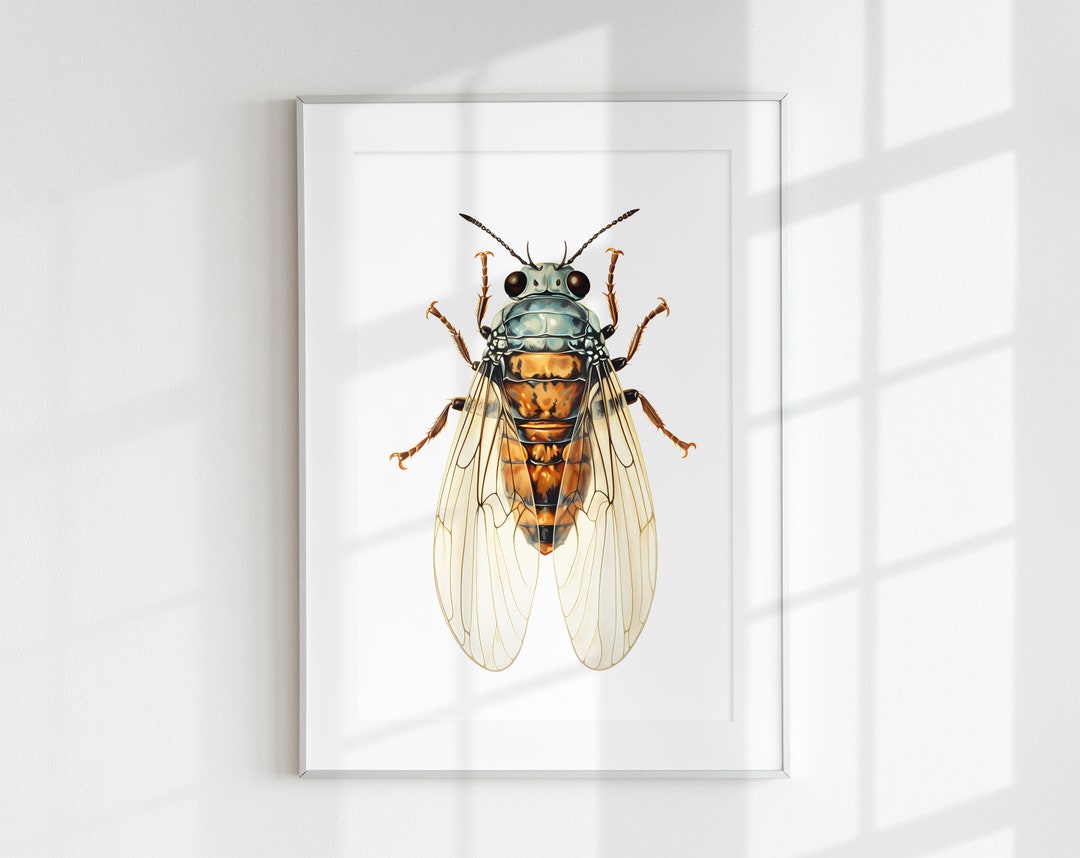 Cicada Print, Bug Print, Insect Print, Botanical Guide, Cicada, Wall ...
