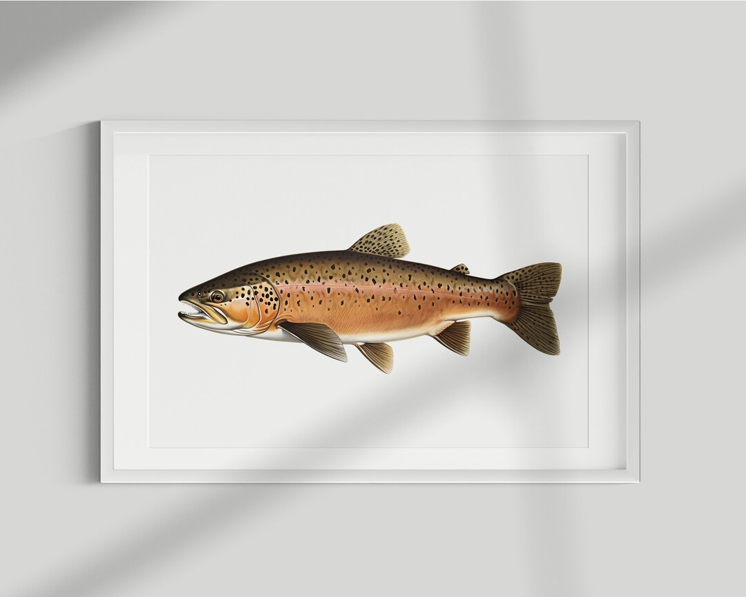 Trout Print, Fish Print, Trout, Wall Art, Wall Print, Fish Poster, Fish ...