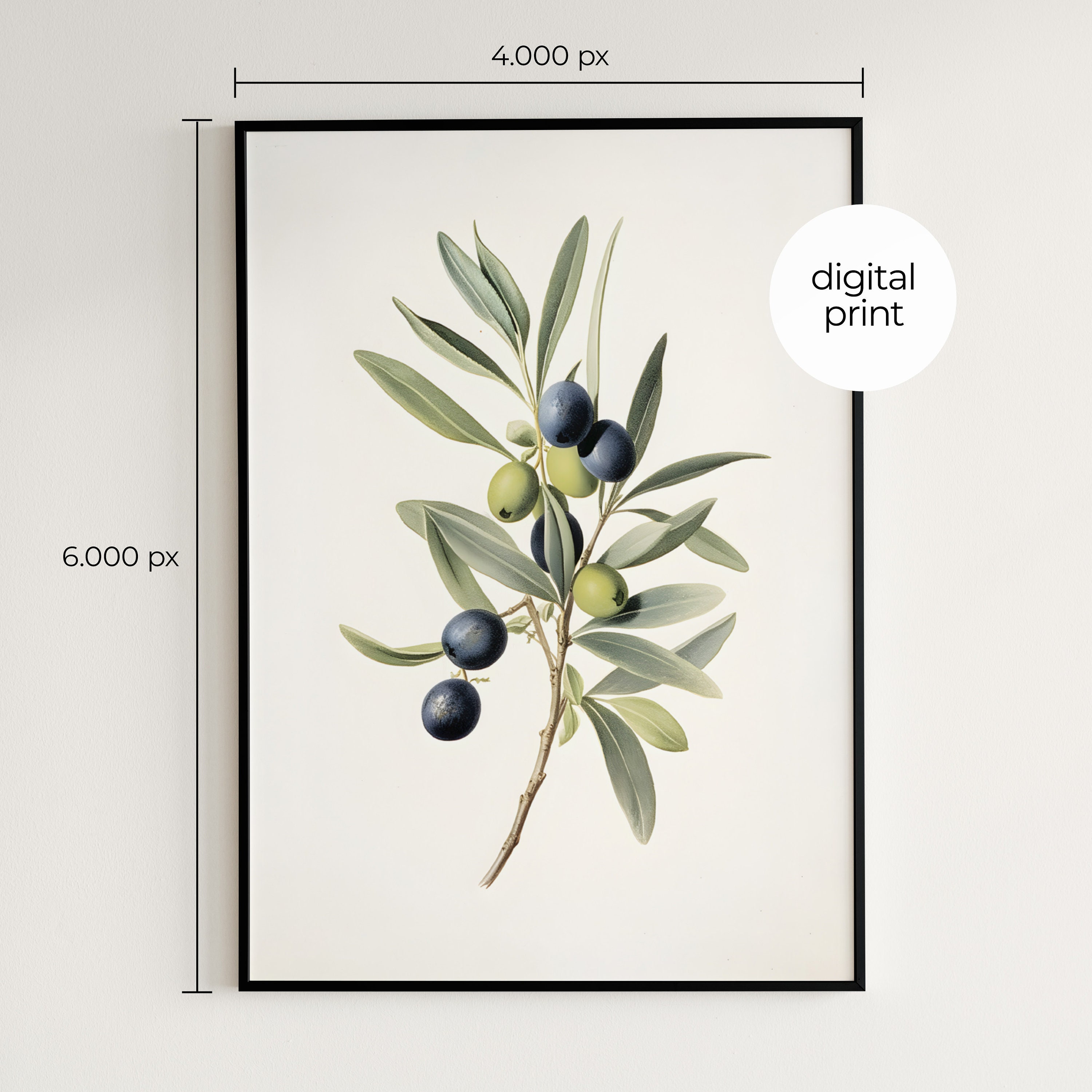 Olive Print, Floral Print, Flower Print, Botanical Flower, Olive Branch ...