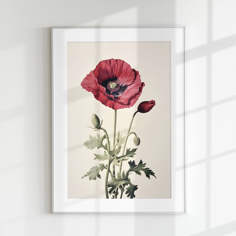 Poppy Print - Etsy