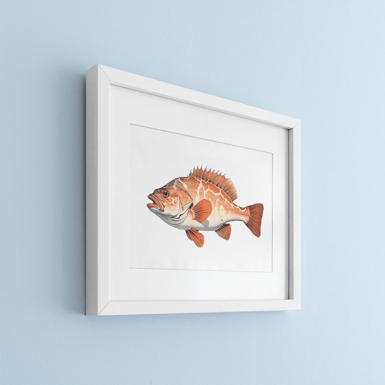 Grouper Print, Fish Print, Grouper, Wall Art, Wall Print, Fish Poster ...