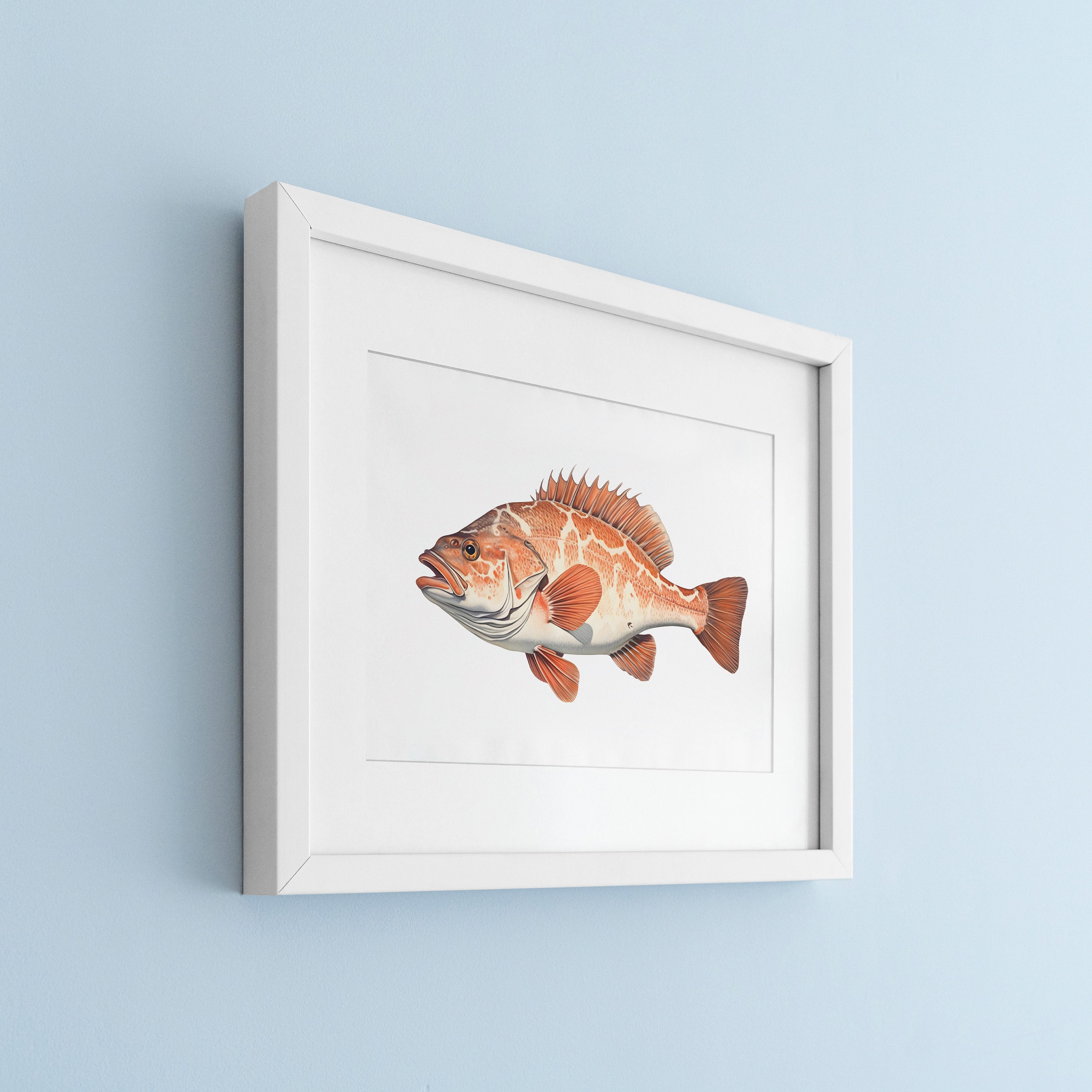 Grouper Print, Fish Print, Grouper, Wall Art, Wall Print, Fish Poster ...