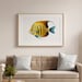 Angelfish Print, Fish Print, Angelfish, Wall Art, Wall Print, Fish ...
