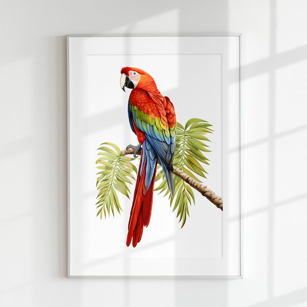 Parrot Poster - Etsy