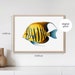 Angelfish Print, Fish Print, Angelfish, Wall Art, Wall Print, Fish ...