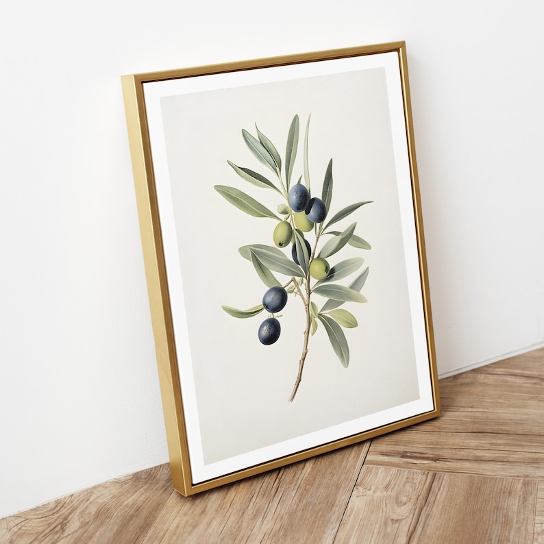 Olive Print, Floral Print, Flower Print, Botanical Flower, Olive Branch ...