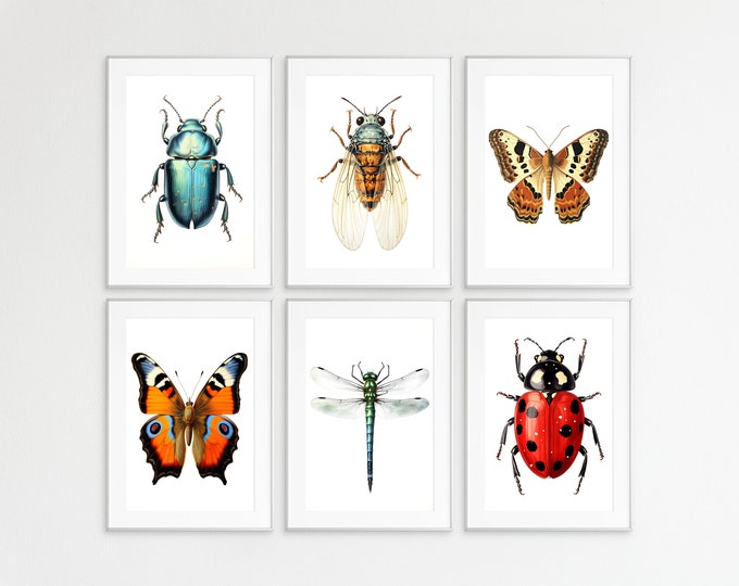 Love Bugs, Choose Your Favorite// Plant Bugs // Entomology // Ceramic ...