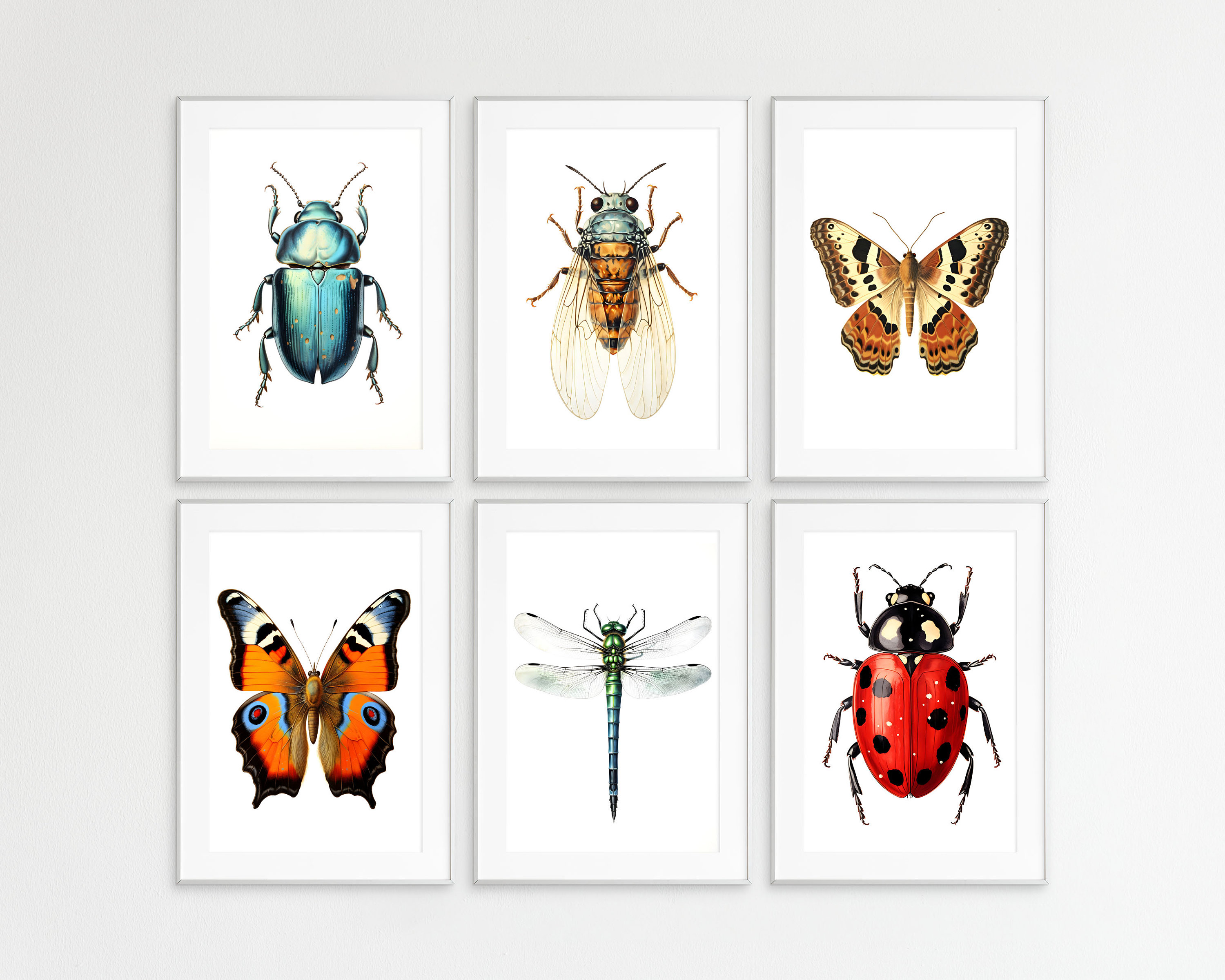 Bugs Print Bundle, Insect Prints, Set of 6, Botanical Guide, Wall Art ...