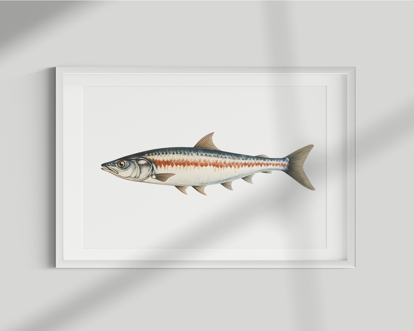 Mackerel Print, Fish Print, Mackerel, Wall Art, Wall Print, Fish Poster ...