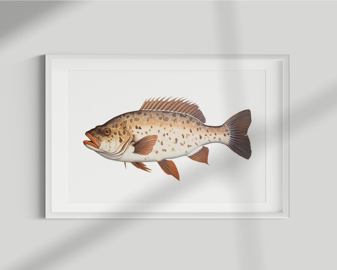Halibut Print, Fish Print, Halibut, Wall Art, Wall Print, Fish Poster ...