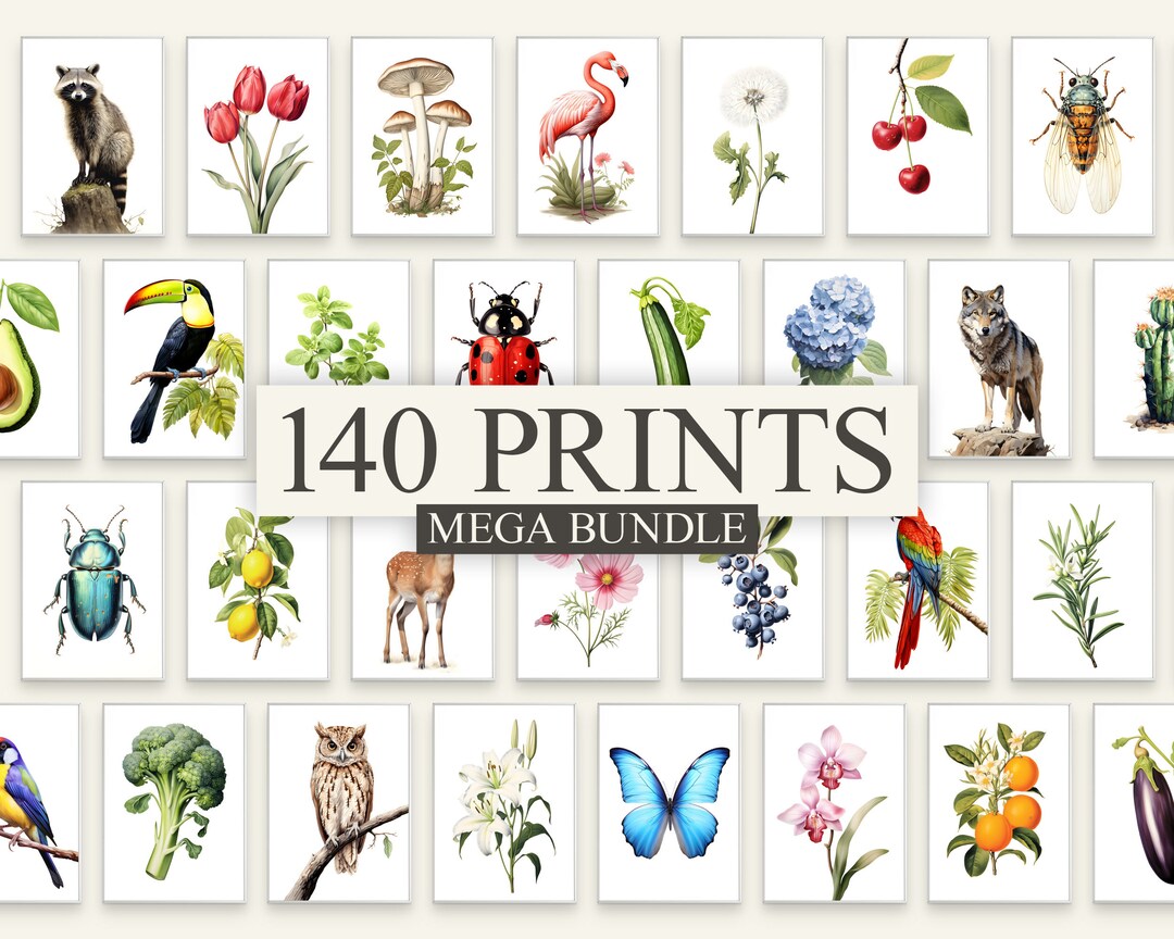 Whole Shop Nature Print Mega Bundle Wall Art Posters Flowers Plants ...