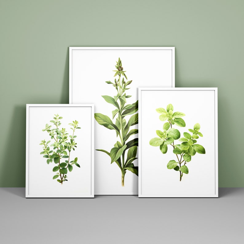 Herbs Print Bundle, Herb Prints, Set of 6, Botanical Guide, Wall Art ...
