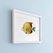 Angelfish Print, Fish Print, Angelfish, Wall Art, Wall Print, Fish ...