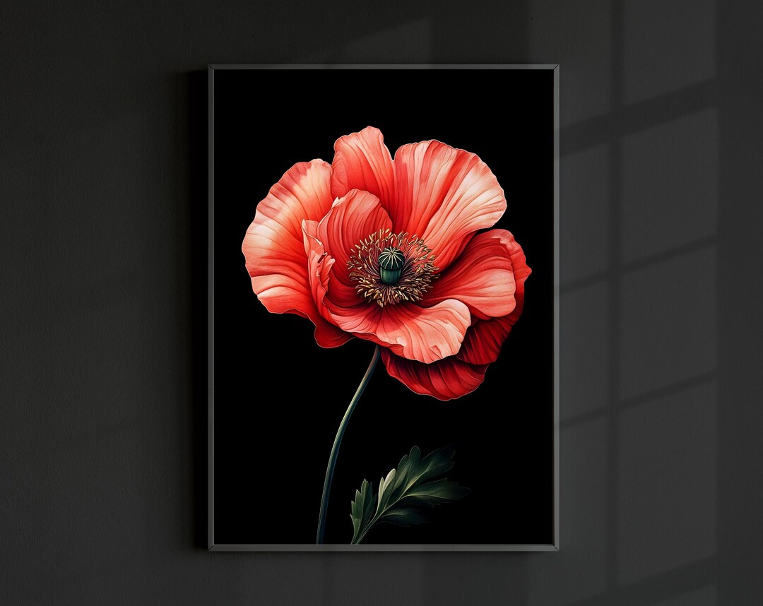 Poppy Photo Flower Poster Black Printable Floral Print Botanical Wall ...