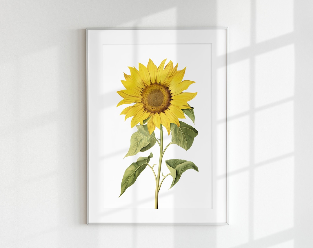 Sunflower Print, Floral Print, Flower Print, Botanical Print, Sunflower ...