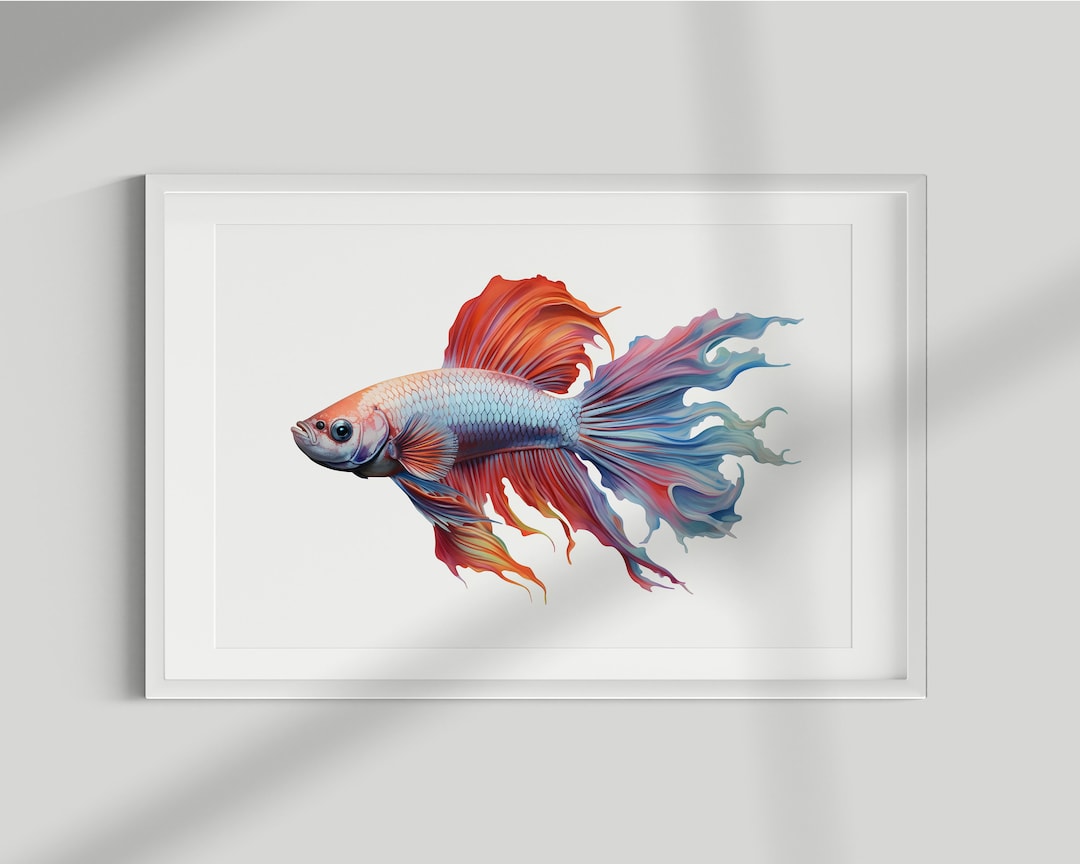 Betta Fish, Siamese Fighting Fish, Fish Print, Wall Art, Wall Print ...