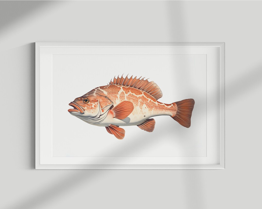 Grouper Print, Fish Print, Grouper, Wall Art, Wall Print, Fish Poster ...