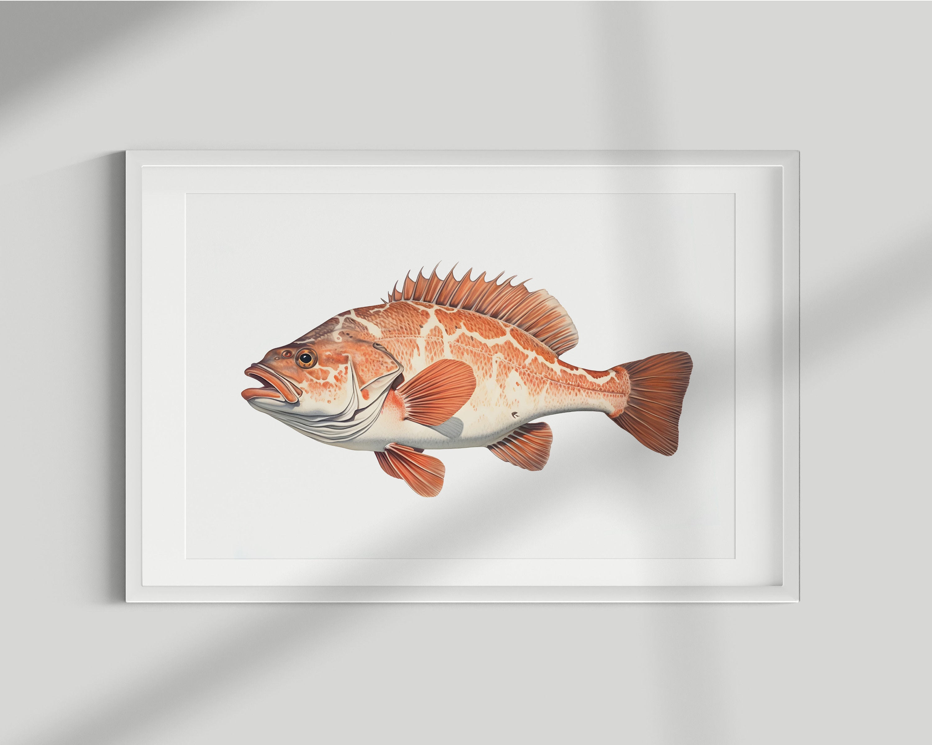 Grouper Print, Fish Print, Grouper, Wall Art, Wall Print, Fish Poster, Fish Lithograph, Vintage ...