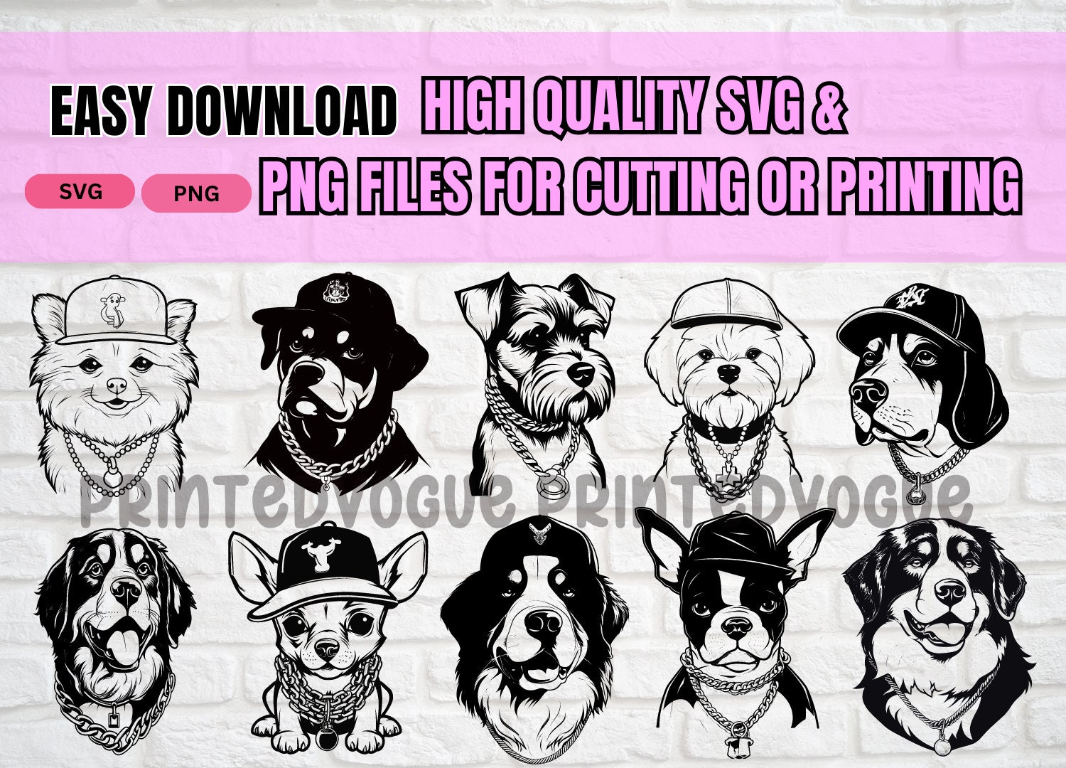 Cute Dog SVG Bundle, Pincher SVG, Poodle SVG, Shi Zu Svg, Boston ...