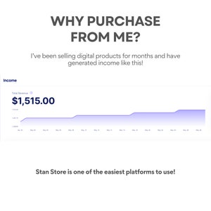 Stan Store Guide With MRR, How to Launch on Stan Store, Sell Digital ...
