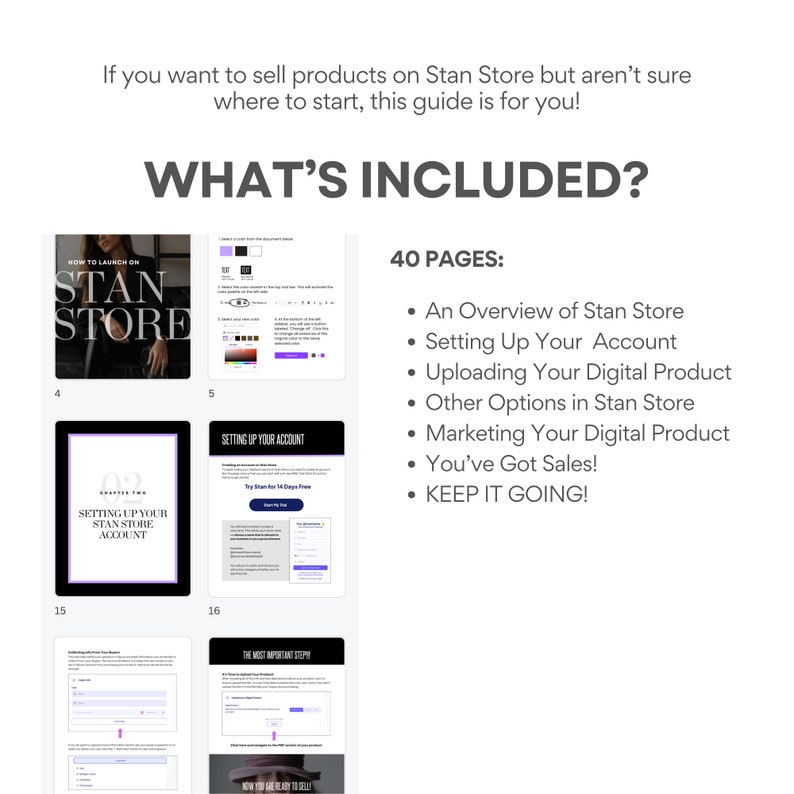 Stan Store Guide With MRR, How to Launch on Stan Store, Sell Digital ...