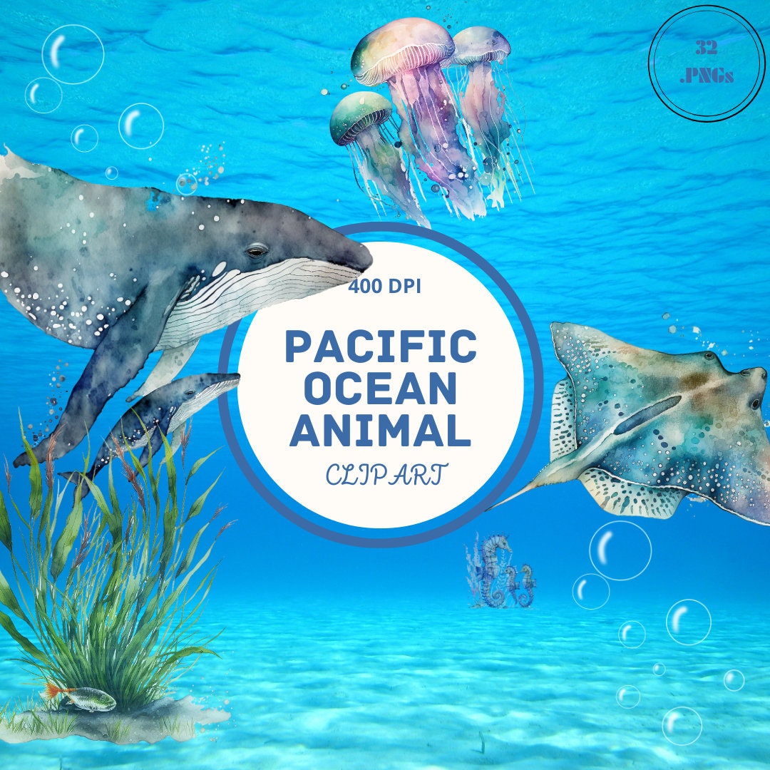 32 Pacific Ocean Animal Watercolor Clipart, Commercial Us E, Instant ...
