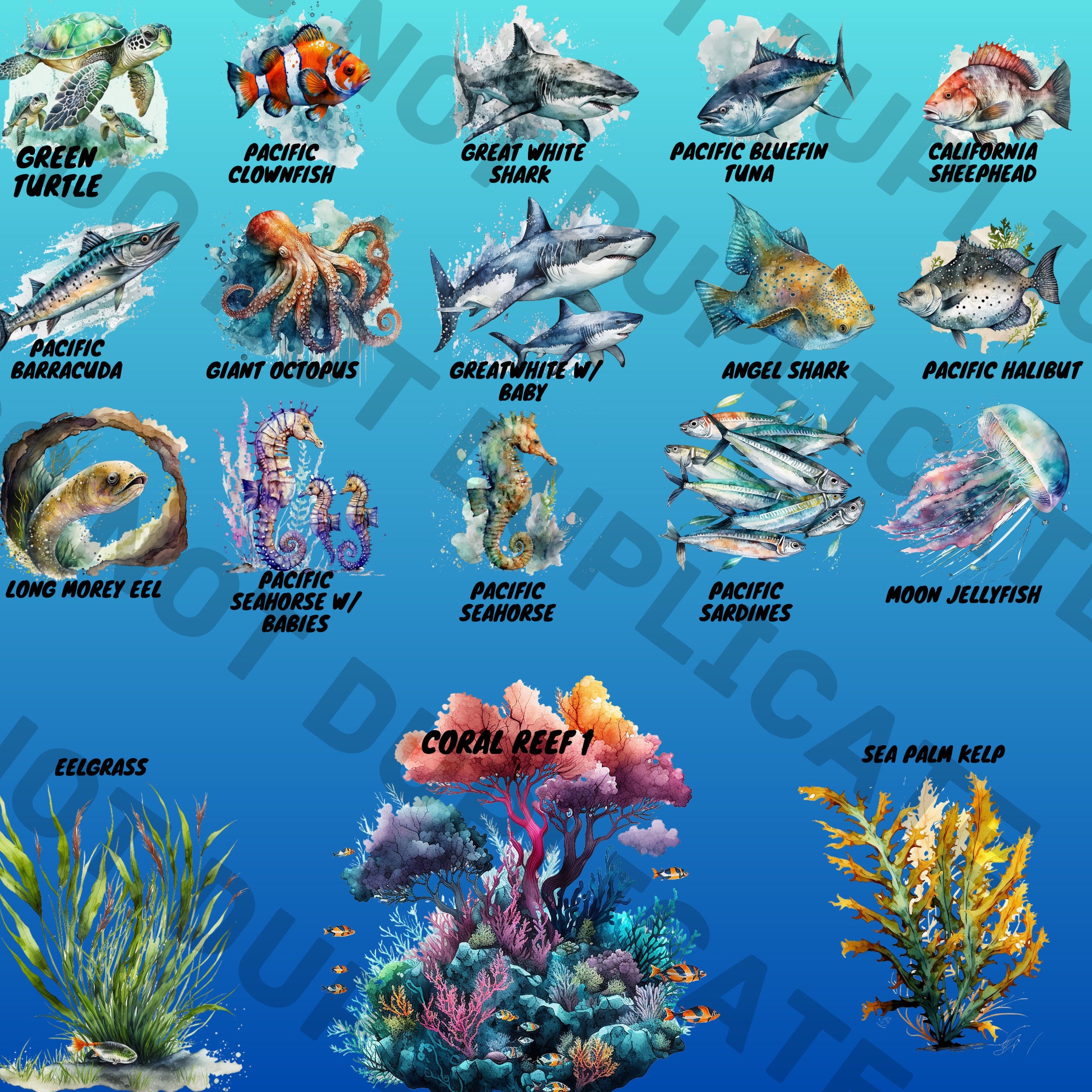 32 Pacific Ocean Animal Watercolor Clipart, Commercial Us E, Instant ...