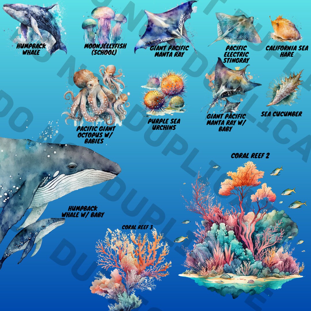 32 Pacific Ocean Animal Watercolor Clipart, Commercial Us E, Instant ...