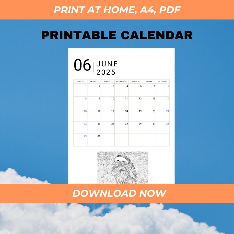 Print at Home Animals Calendar Template, 2025 Printable Coloring Pages ...