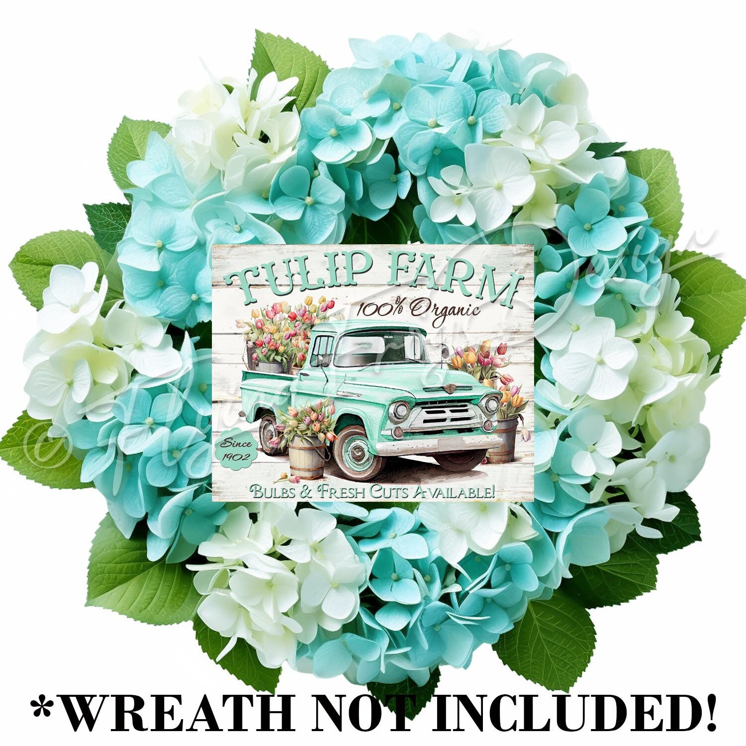 Vintage Teal Pick up Truck Tulip Farm Yellow Pink Red Tulips Buckets Uv ...