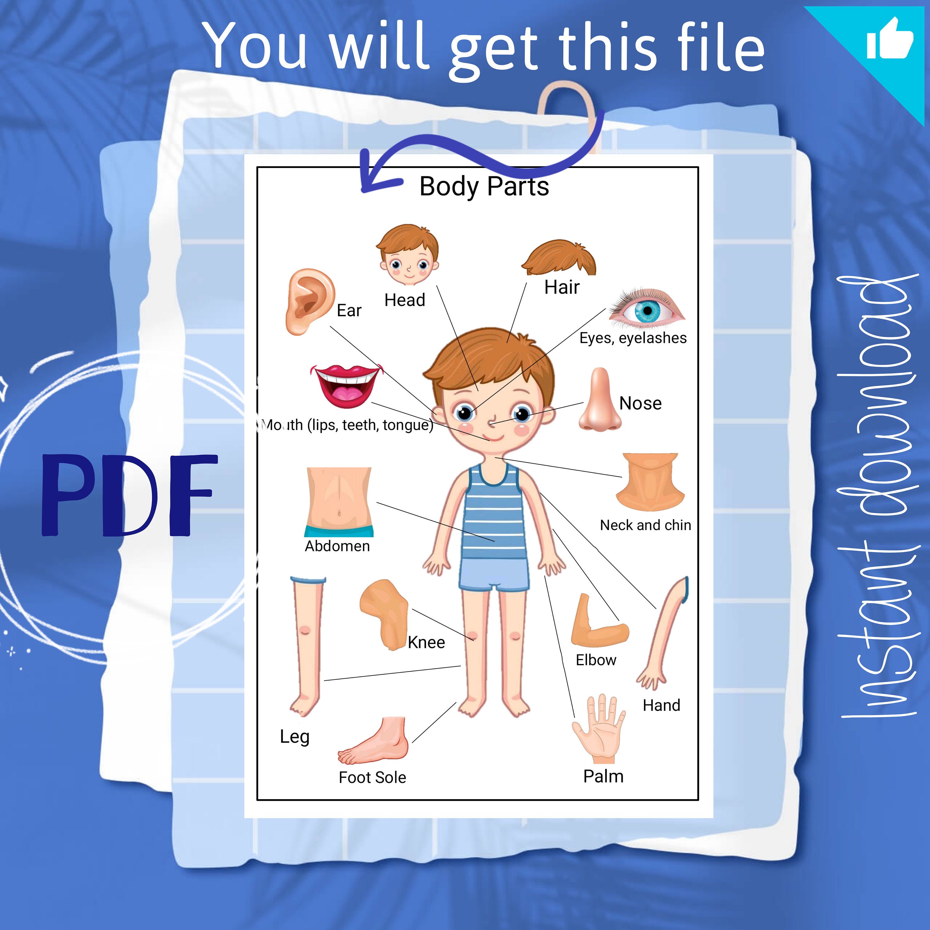 Body Parts Poster for Toddlers| Printable Wallart| Educational Prints ...