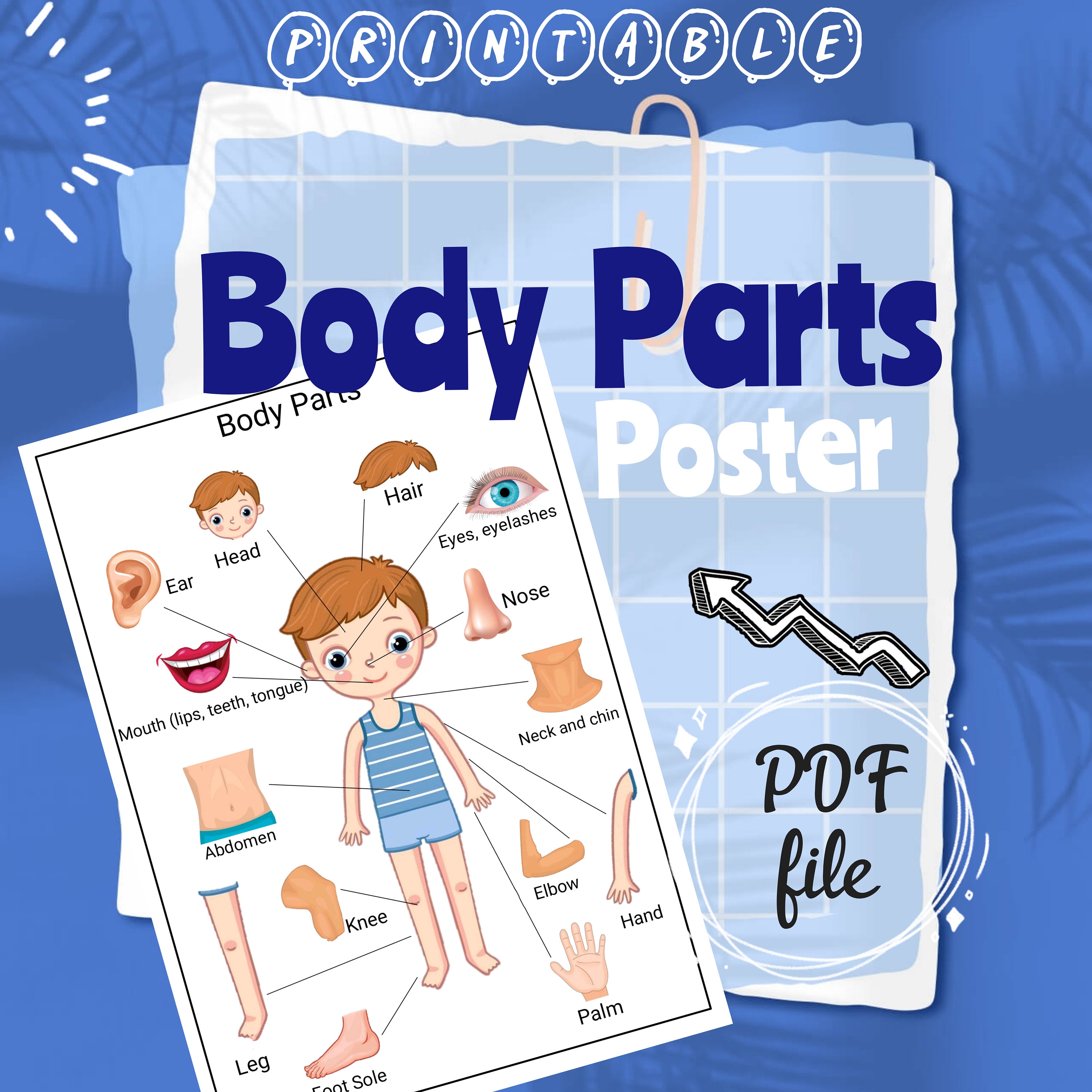 Body Parts Poster for Toddlers| Printable Wallart| Educational Prints ...