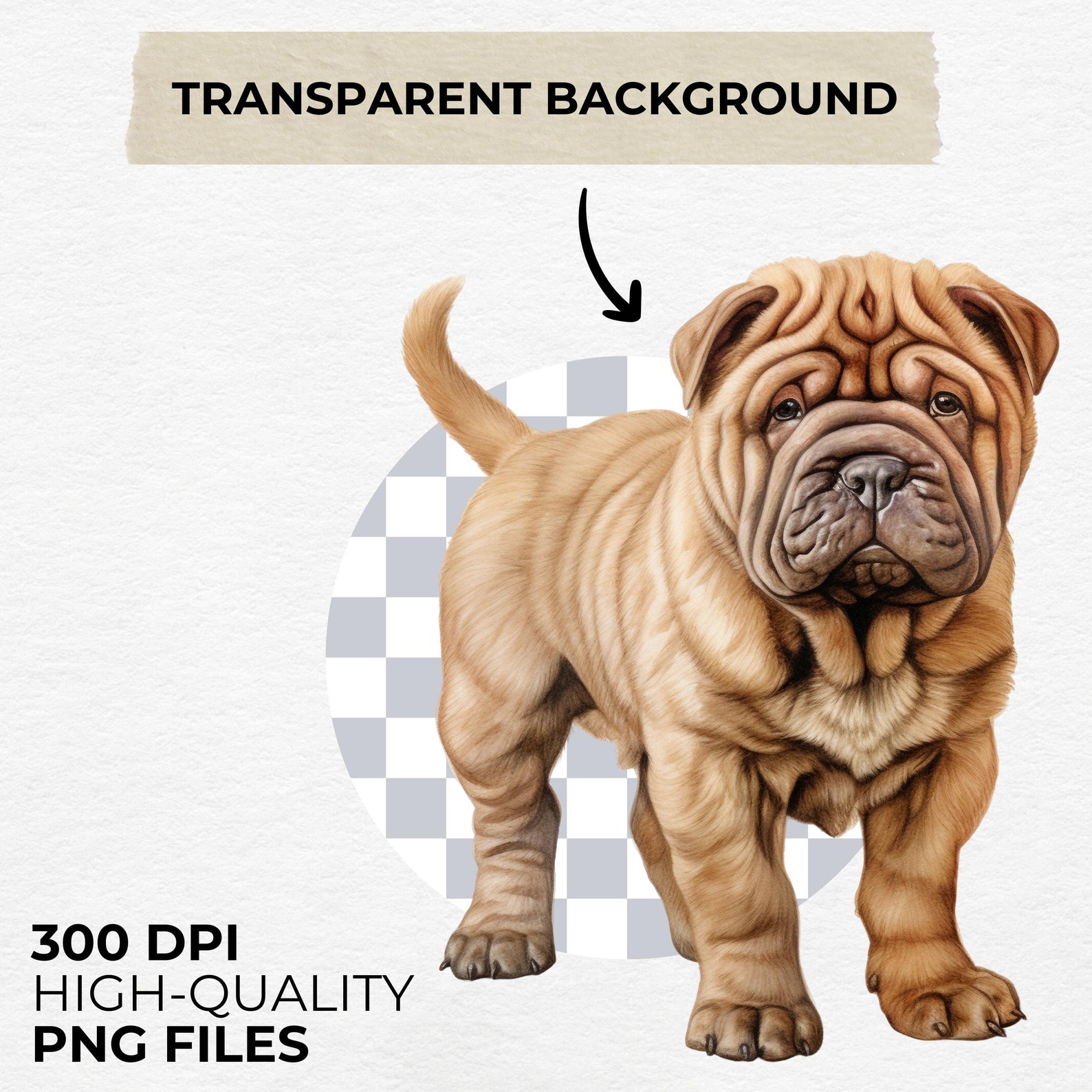 Watercolor Dogs Clipart 30 Dog Breeds Clipart Bundle, Puppy Dog Clipart ...