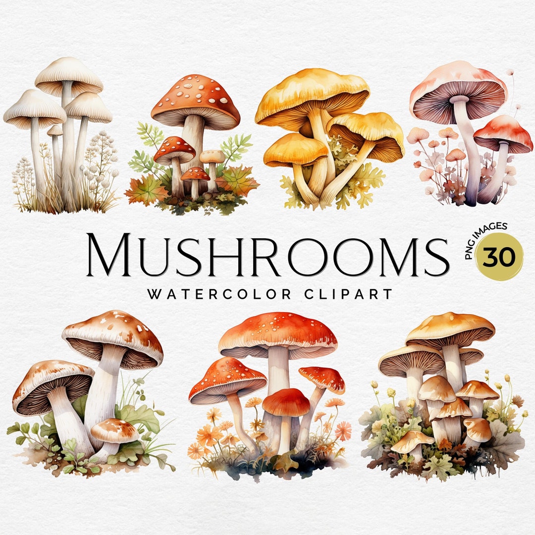 Watercolor Mushrooms Clipart | Forest Nature Mushroom PNG, Autumn Fall ...