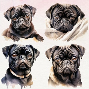 Black Pug Clipart - Watercolor Pug Clipart Bundle | Dog PNG | Cute Dog ...