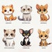 Cute Cats Clipart Bundle 20 Cats PNG Printable, Cute Cat Breeds ...