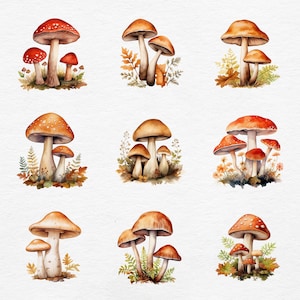 Watercolor Mushrooms Clipart | Forest Nature Mushroom PNG, Autumn Fall ...