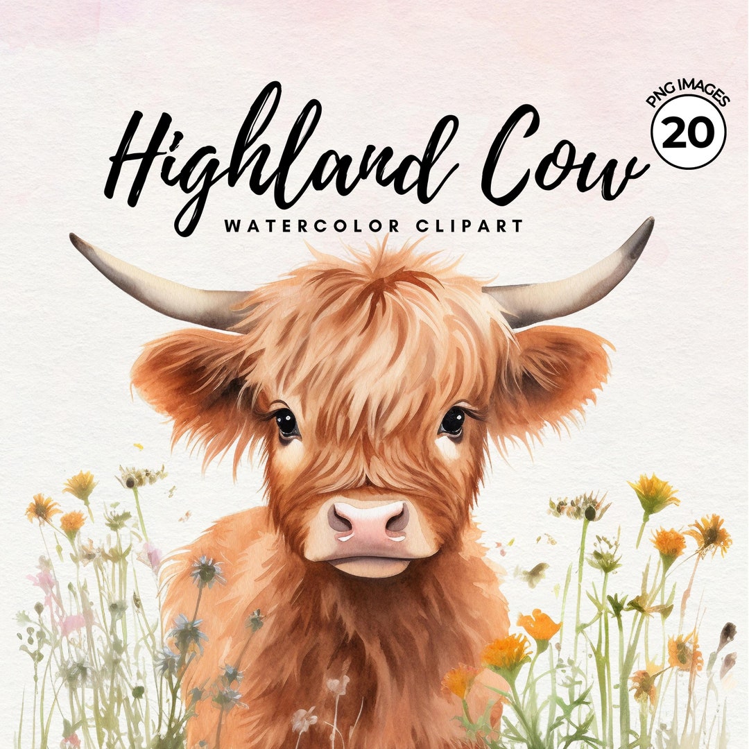 Highland Cow Watercolor Clipart Cow Clipart PNG Bundle Cow - Etsy