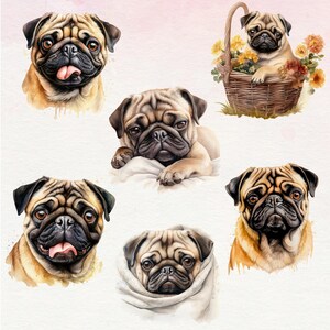 Pug Clipart Bundle | 27 Watercolor Pugs PNG Pug Puppy Clipart, Cute Pug ...