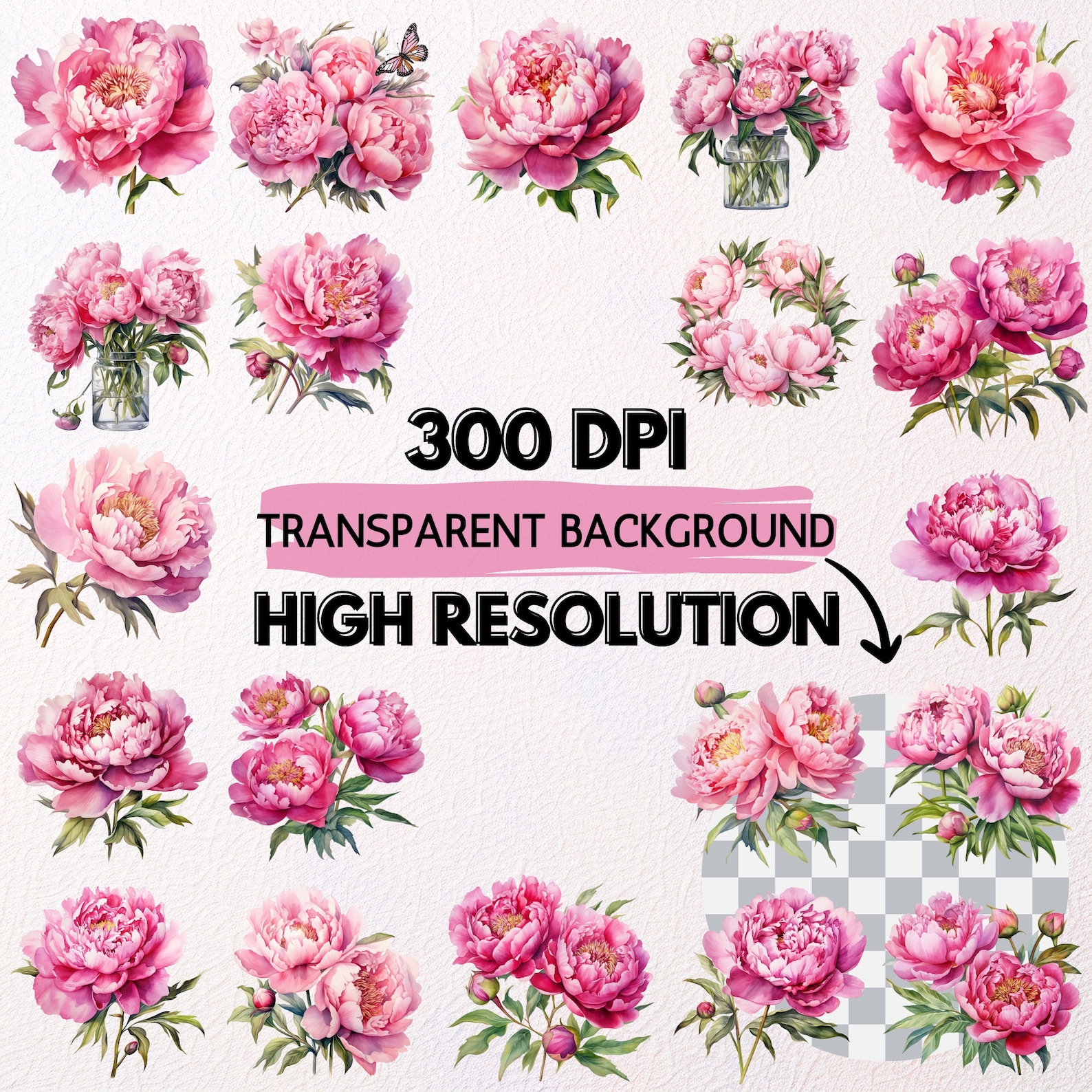 Watercolor Pink Peony Clipart - Transparent PNG Clipart Bundle ...